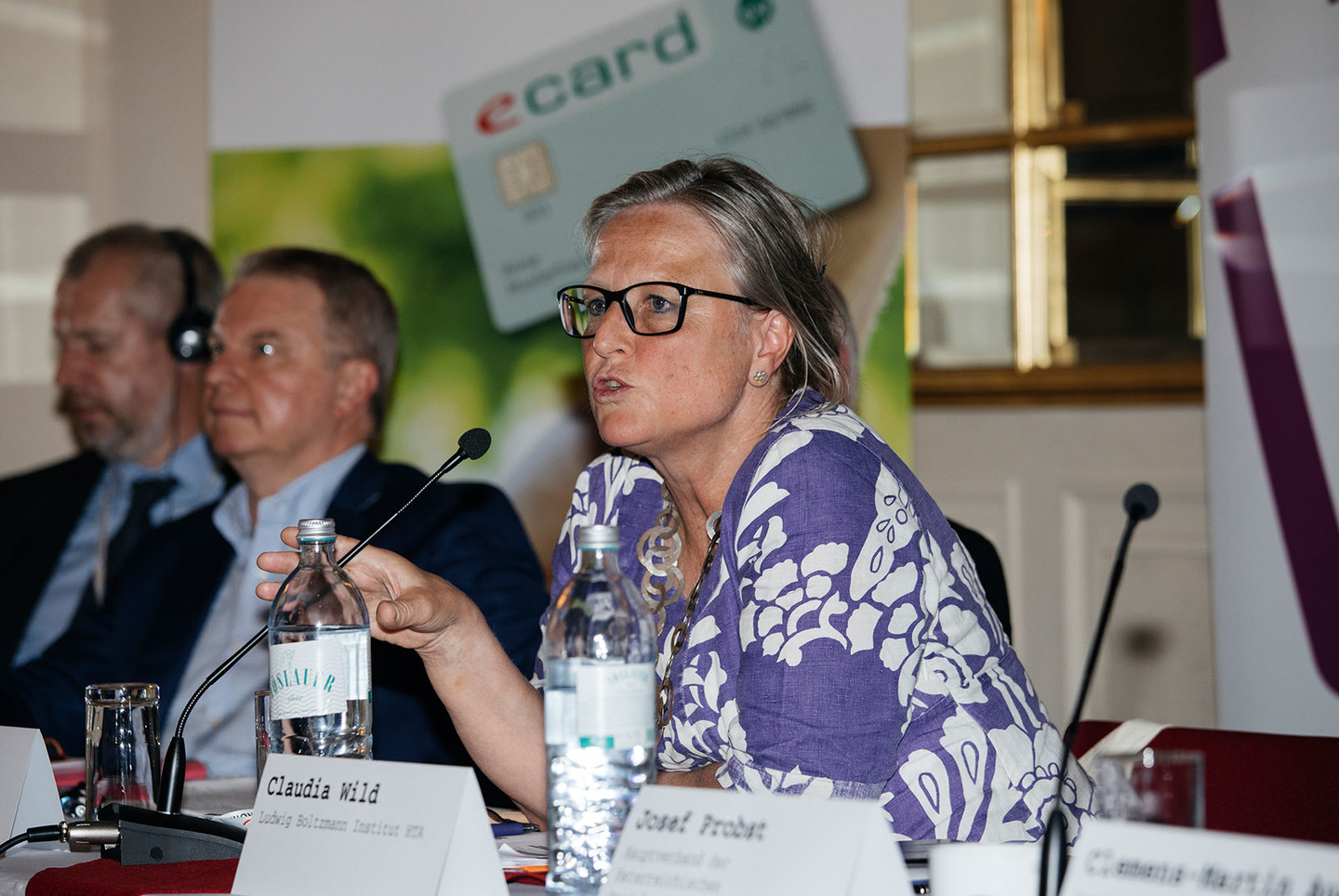 EHFG — EHFG Outcomes 2017